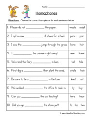 Choosing Homophones Worksheet by Teach Simple