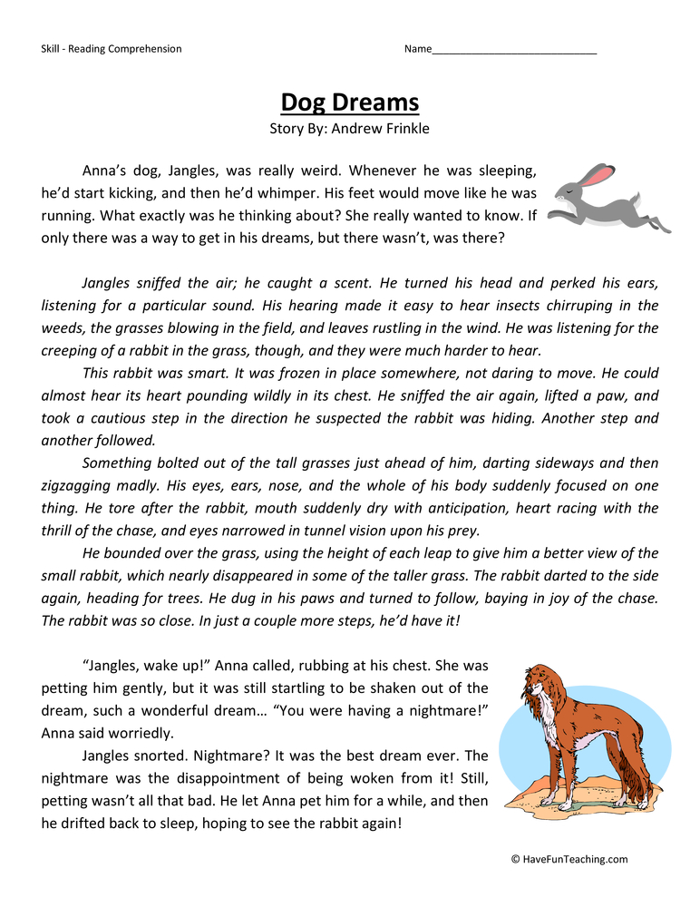 Dog Dreams - Reading Comprehension Worksheet by Teach Simple