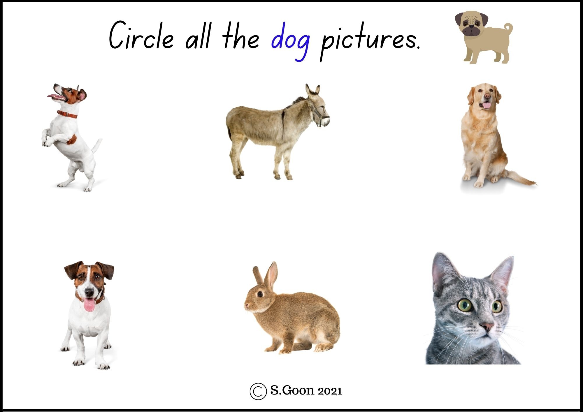 Domesticated Animals Identification by Teach Simple