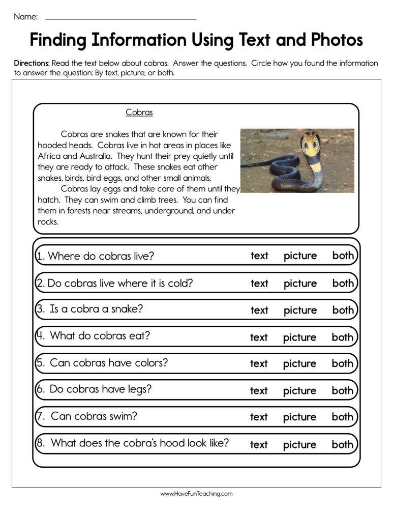 Finding Information Using Text and Photos Worksheet by Teach Simple