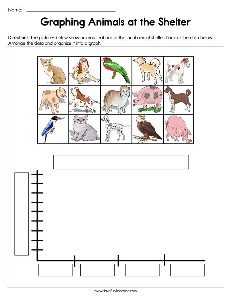 Graphing Animals at the Shelter Worksheet by Teach Simple
