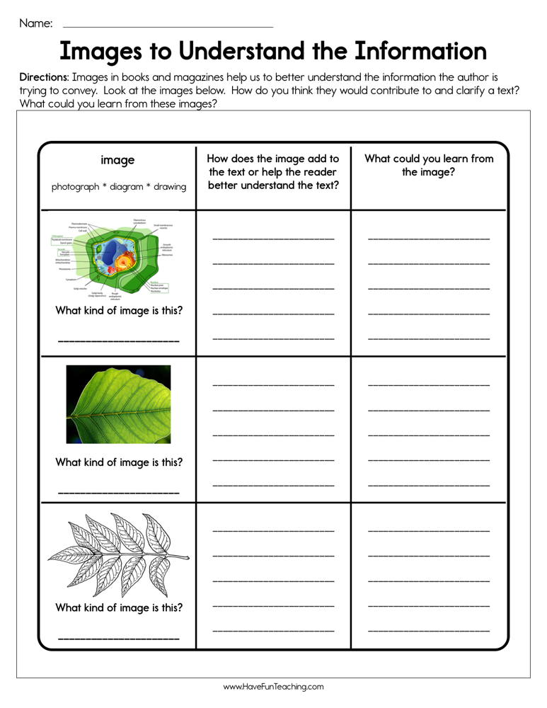 Images to Understand the Information Worksheet by Teach Simple