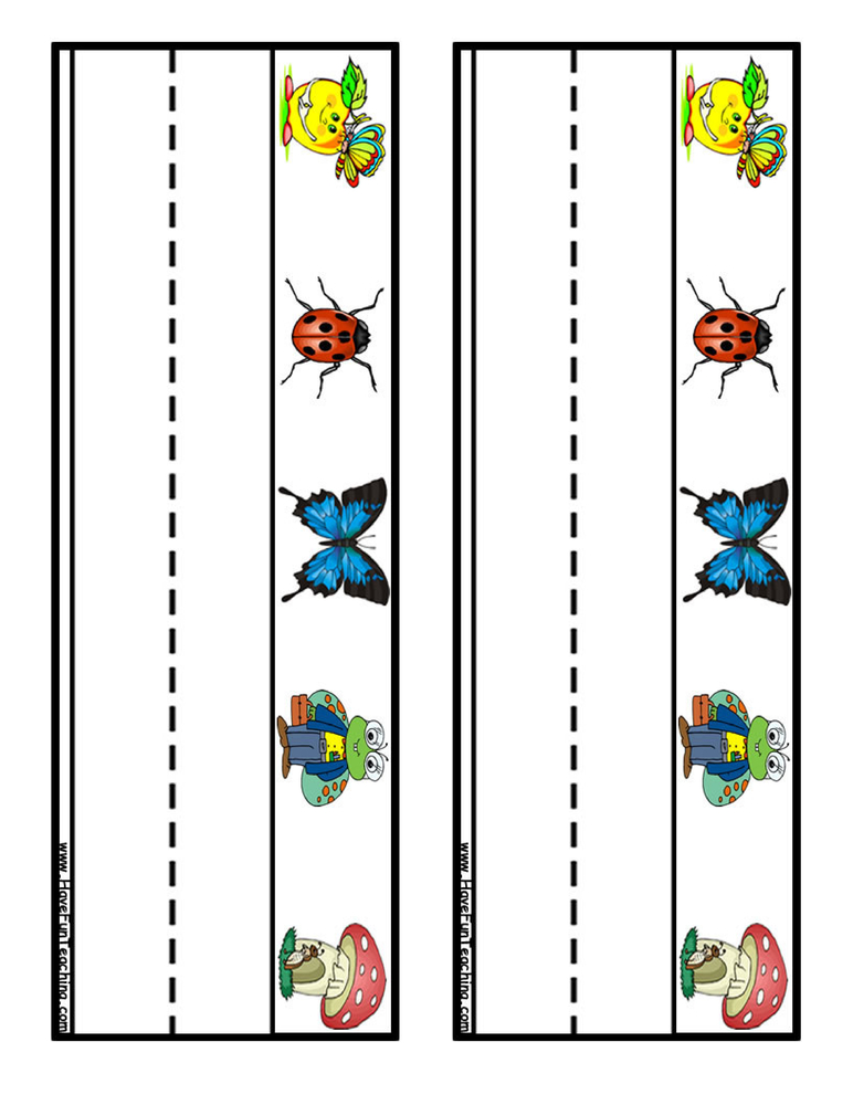 Insects Desk Name Tags by Teach Simple