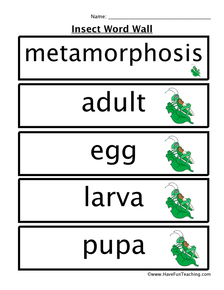Insects Word Wall by Teach Simple