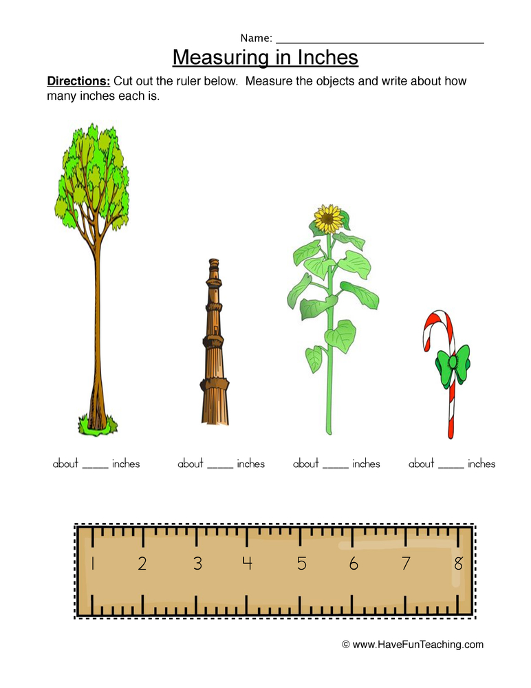 Measuring Length in Inches Worksheet by Teach Simple