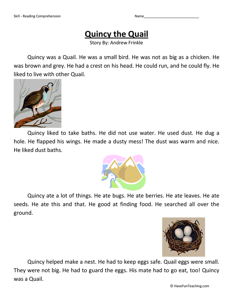 Quincy the Quail Reading Comprehension Worksheet by Teach Simple