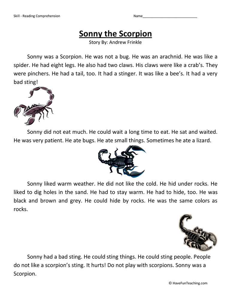 Sonny the Scorpion Reading Comprehension Worksheet by Teach Simple
