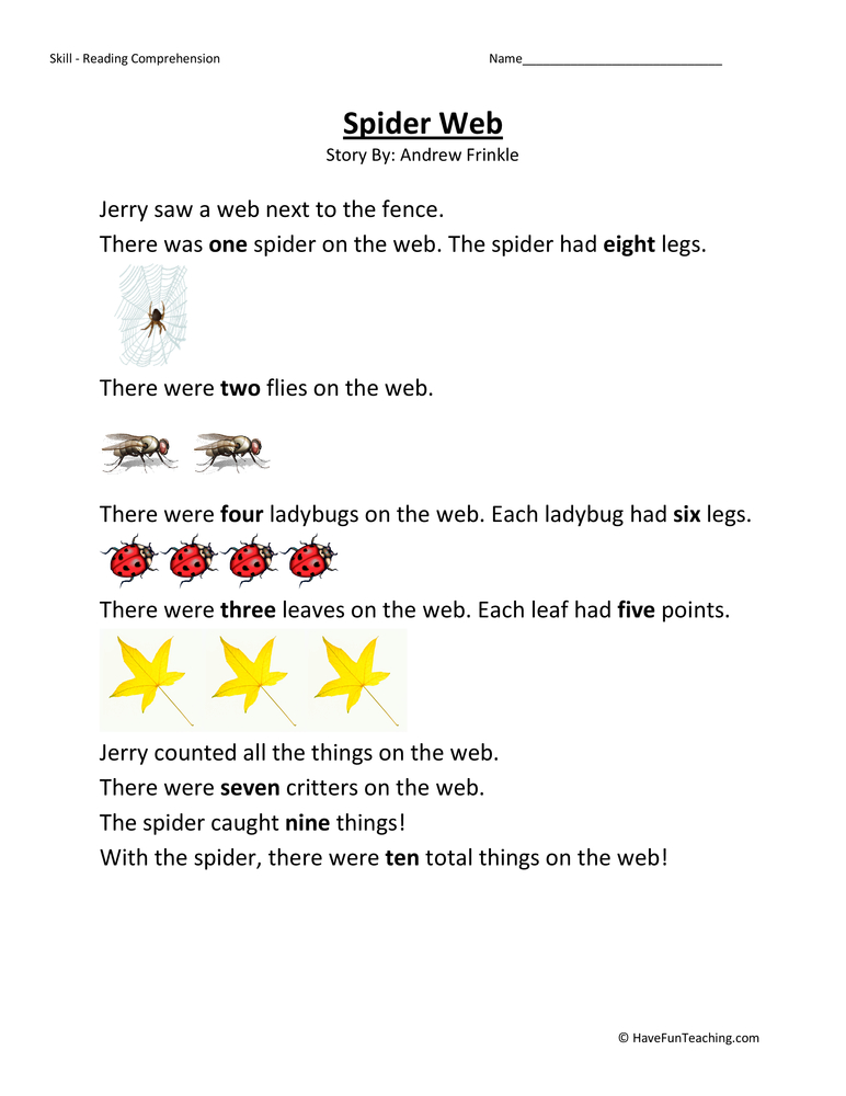 Spider Web Reading Comprehension Worksheet by Teach Simple