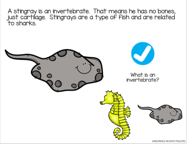 Stingray Adapted Book by Teach Simple