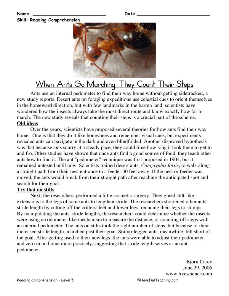 When the Ants Go Marching Reading Comprehension Worksheet by Teach Simple